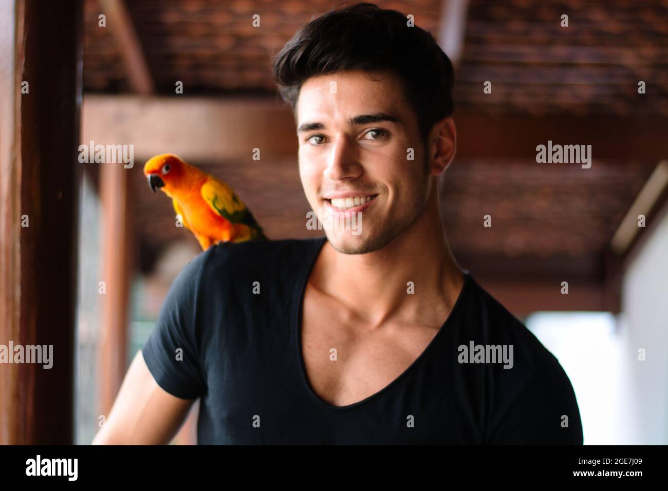 Handsome parrot hi-res stock photography and images - Alamy