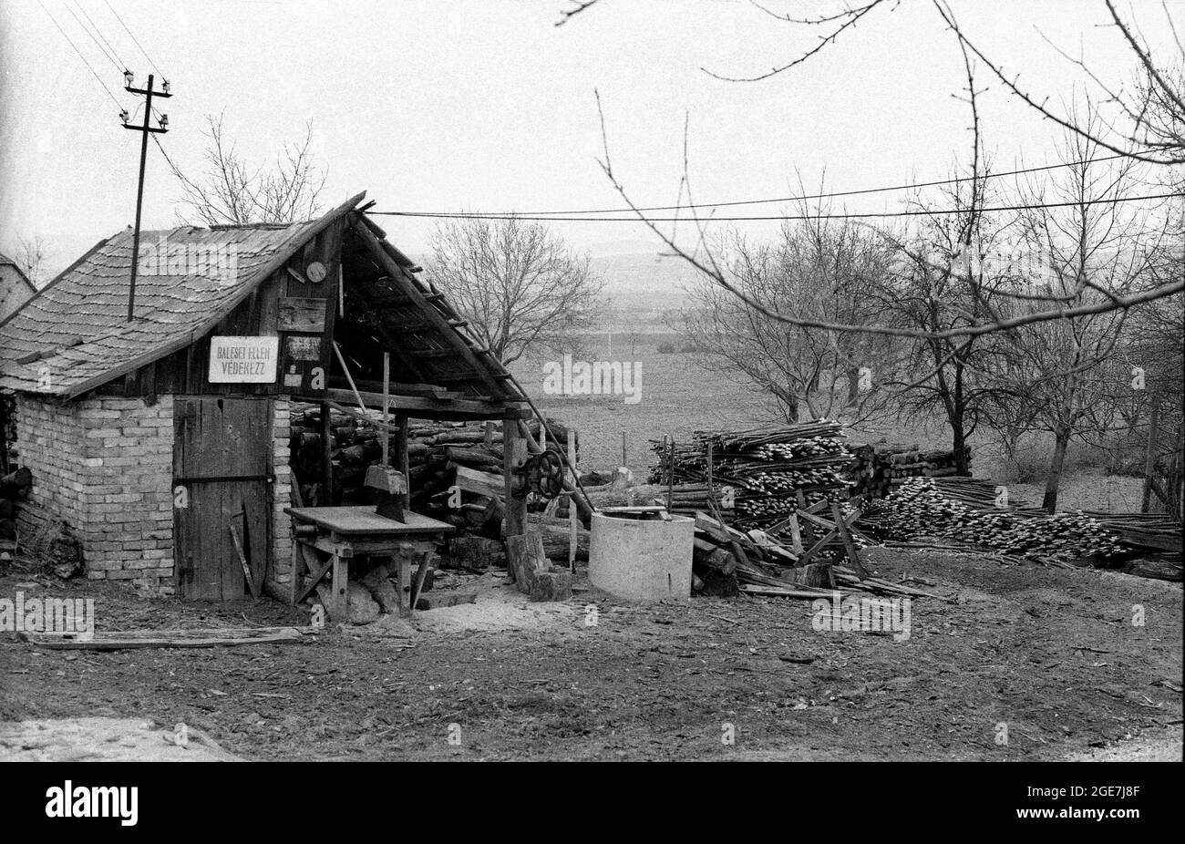 Rural wood yard for coppicing near village Budapest, Hungary in 1958 ...