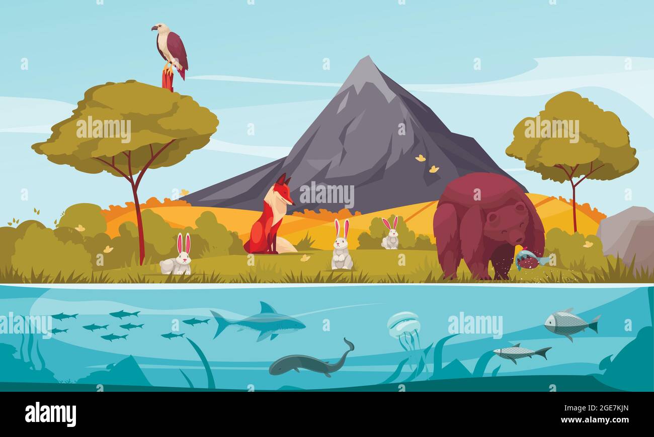 Biological hierarchy cartoon colorful background demonstrated ecosystem ...