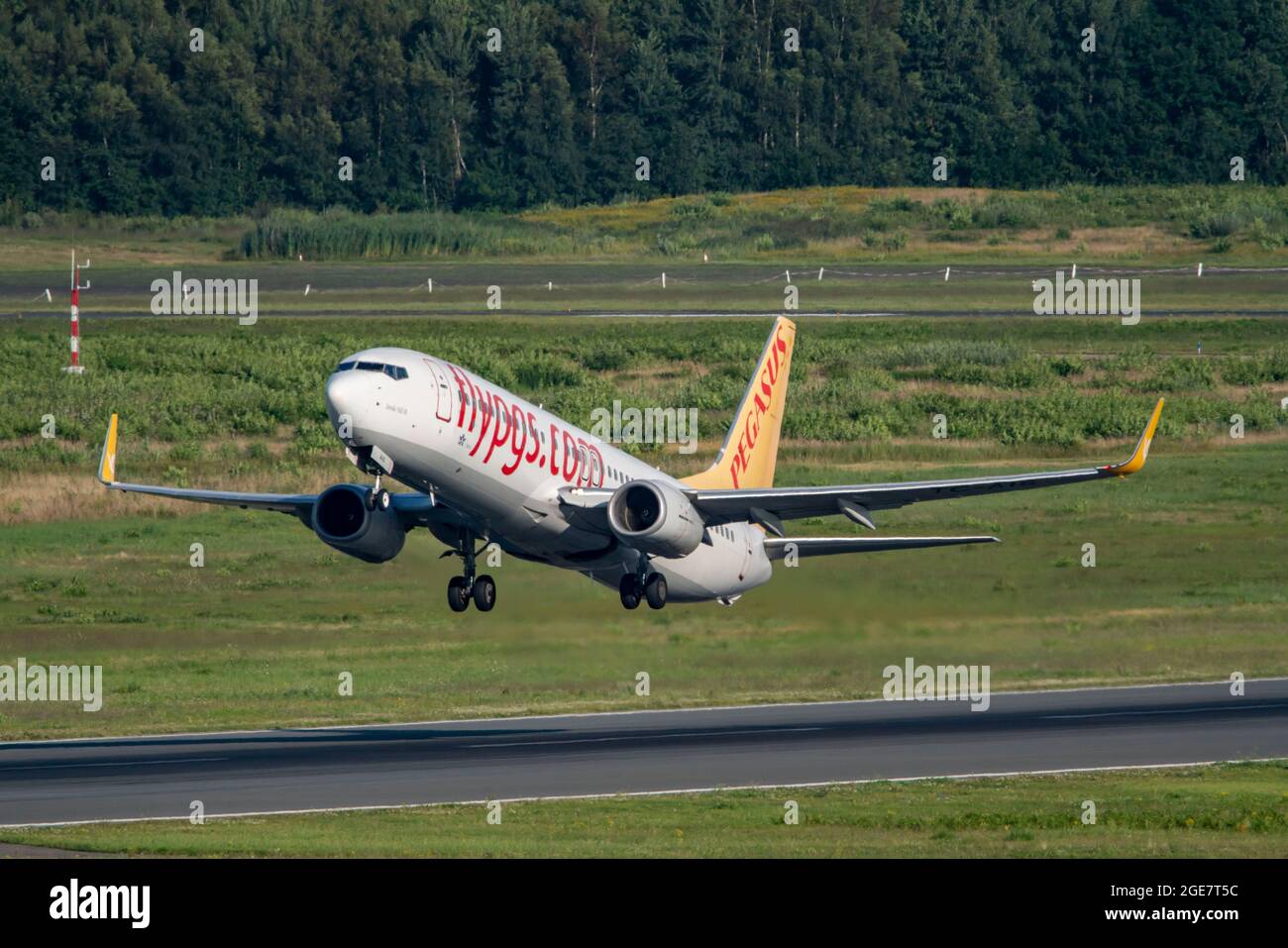 Flypgs hi-res stock photography and images - Alamy