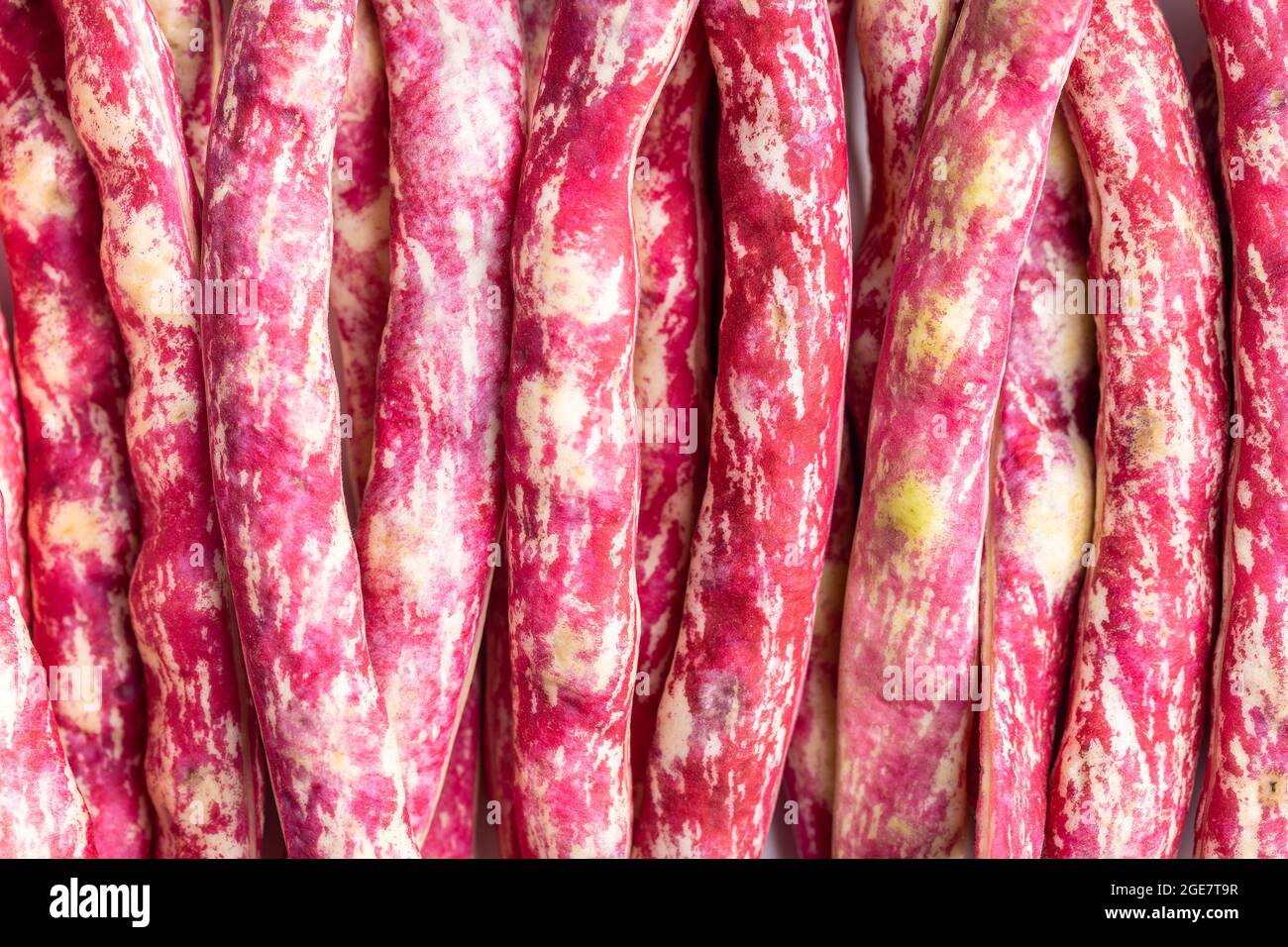 Cranberry beans. Beans pods. Top view Stock Photo - Alamy