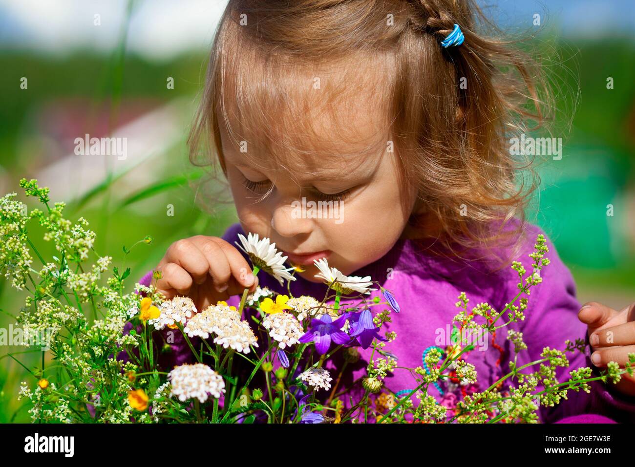 Cute baby girl smells flowers, summer time Stock Photo - Alamy