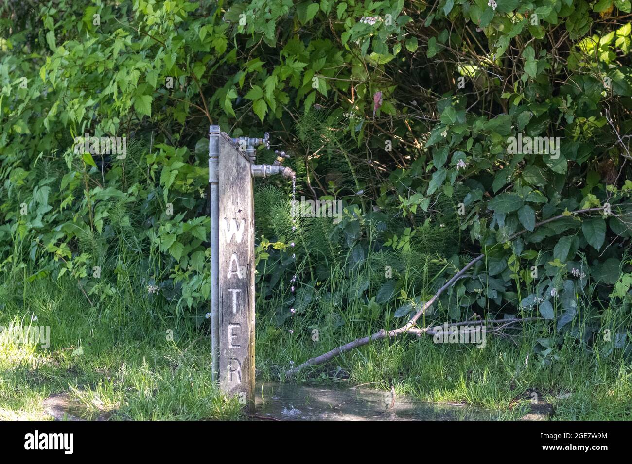 a water fountain built into a labeled post in a state park in forest ...