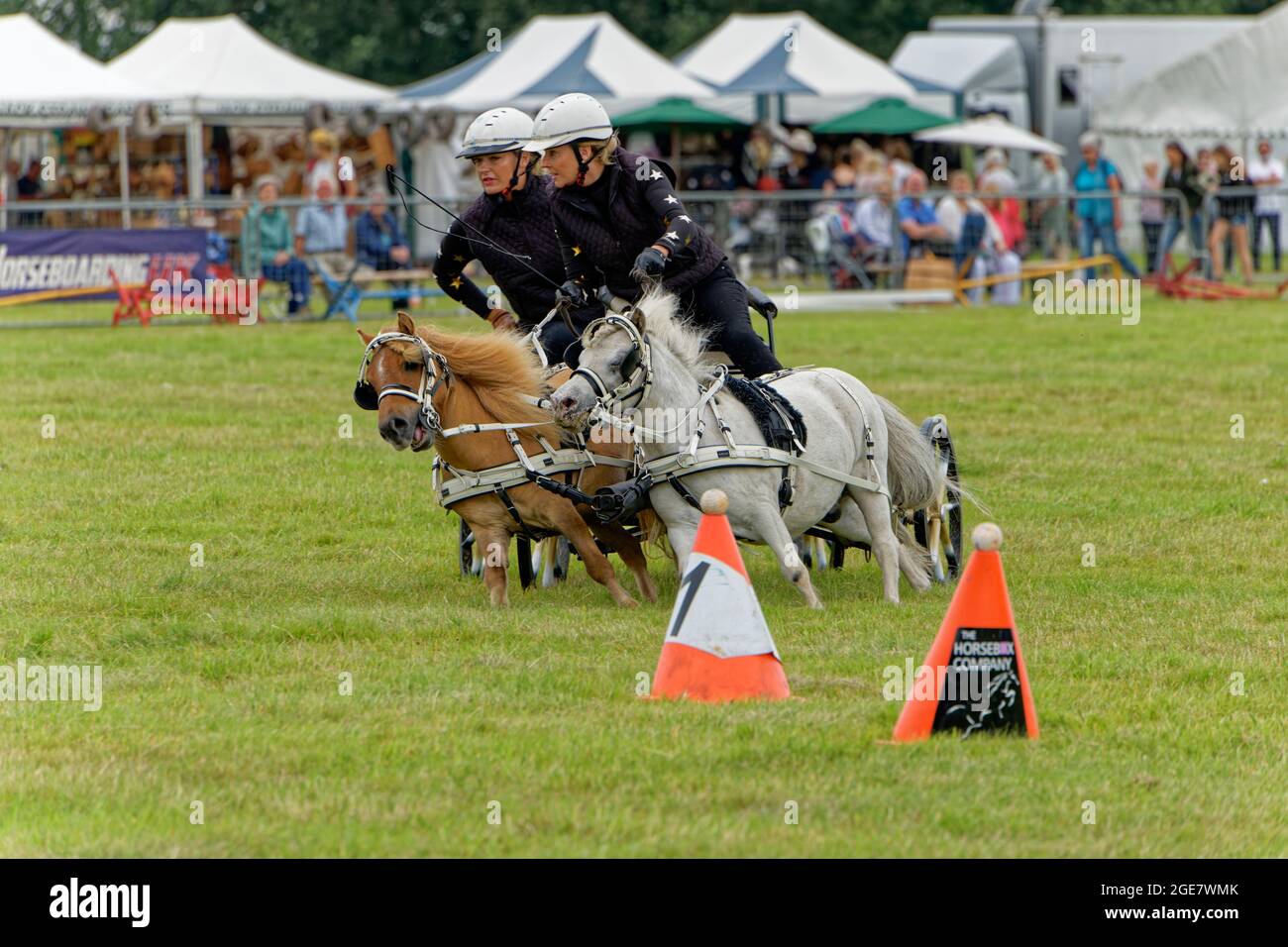 Scurry pony hi-res stock photography and images - Alamy