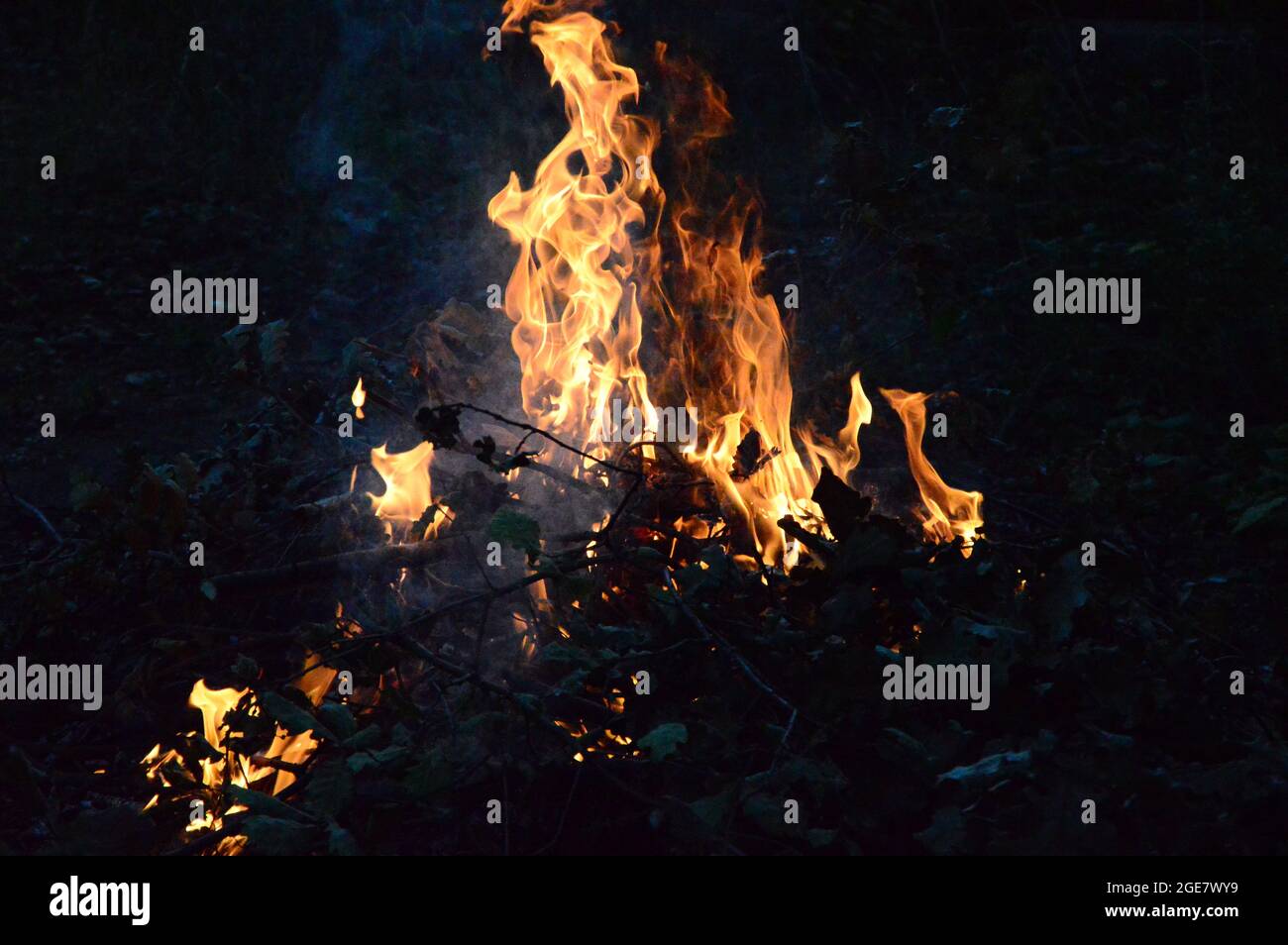 Closeup of fire flames in a darkness Stock Photo - Alamy