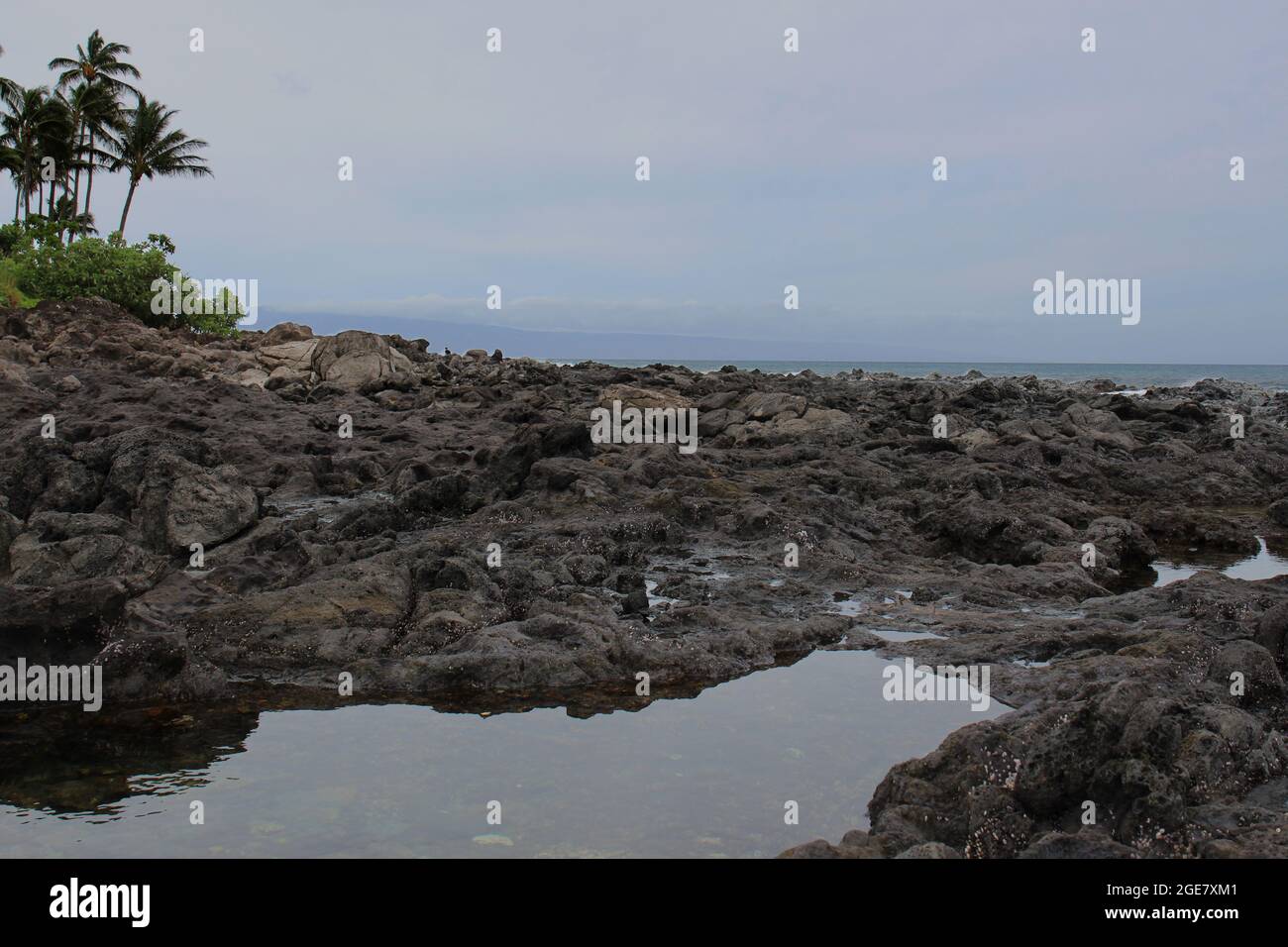 Tide pools formed on volcanic rock lining the Pacific Ocean with ...