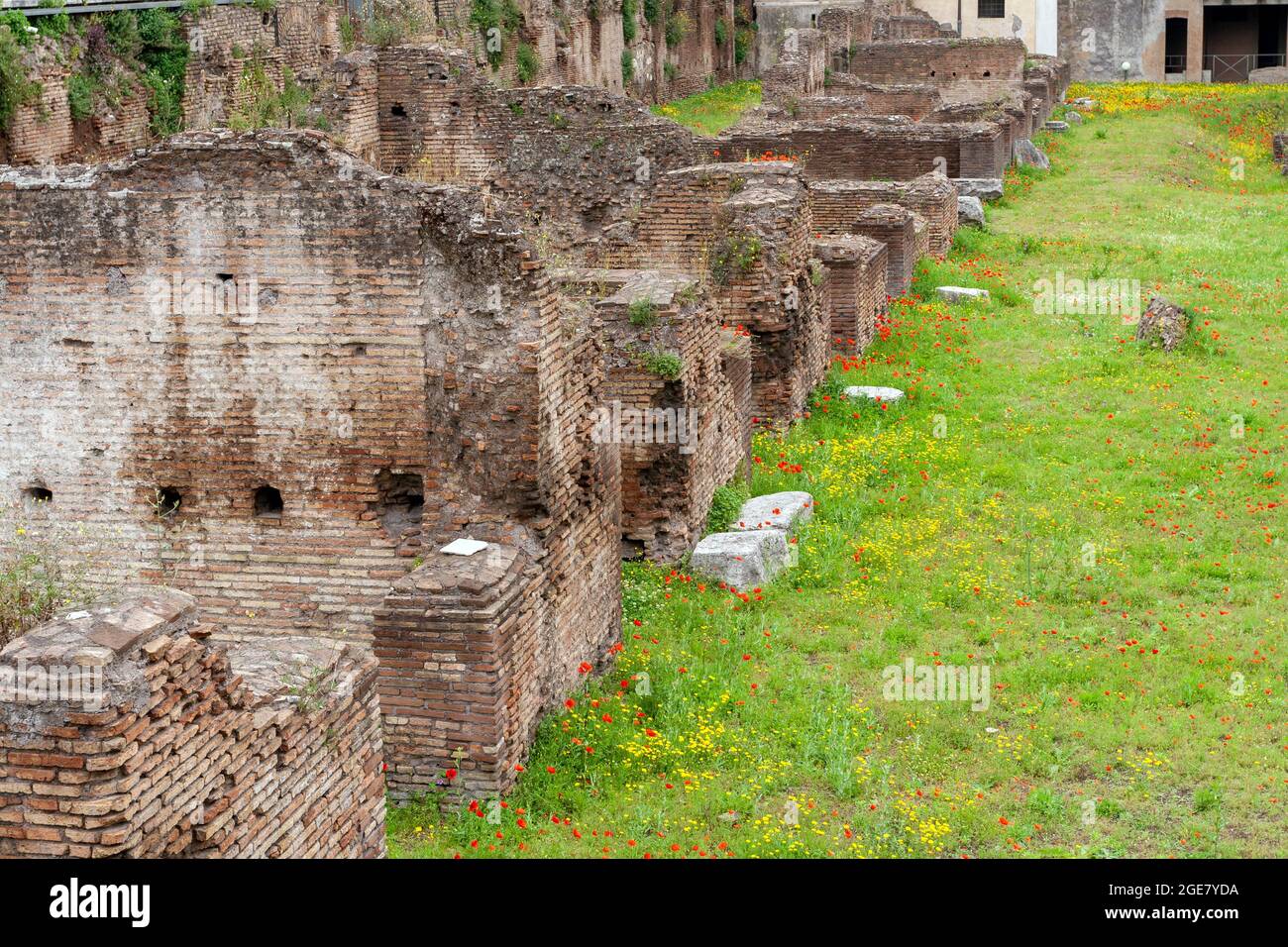 Magnus Cinaedus Rome