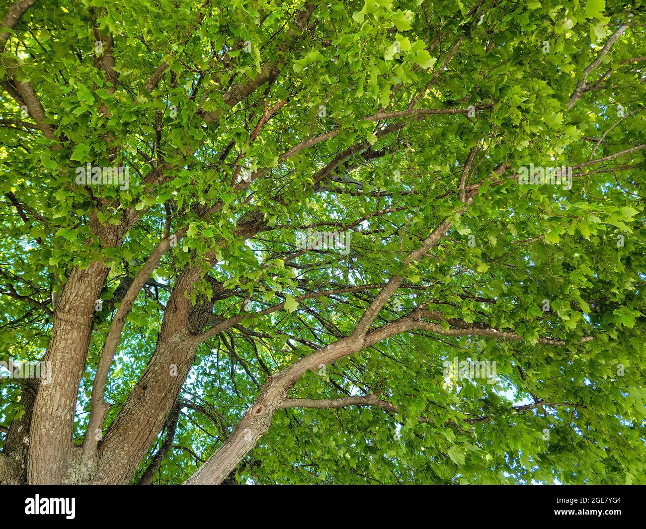 Underneath view hi-res stock photography and images - Alamy