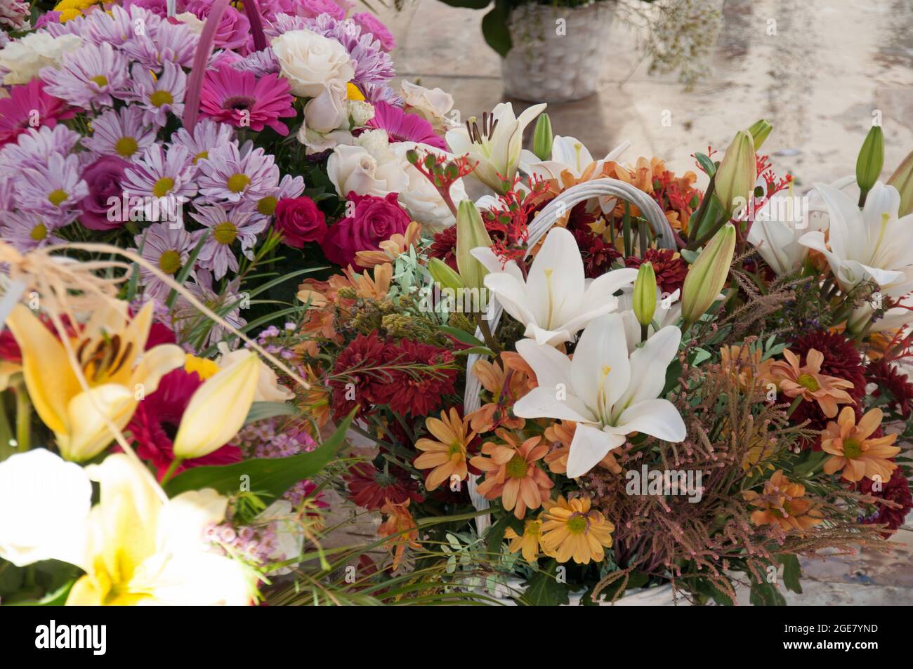 Valencia floral hi-res stock photography and images - Alamy