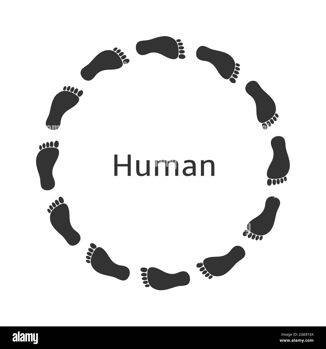 Human footprints anatomy hi-res stock photography and images - Alamy