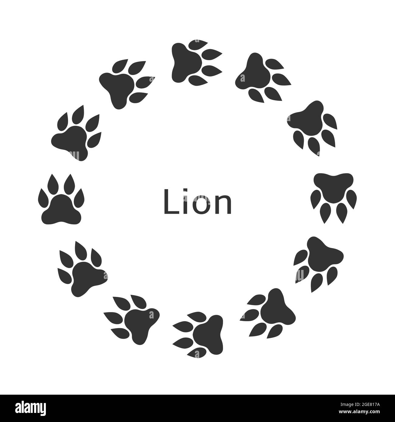 Footpath trail of lion. White background with traces Stock Vector Image ...
