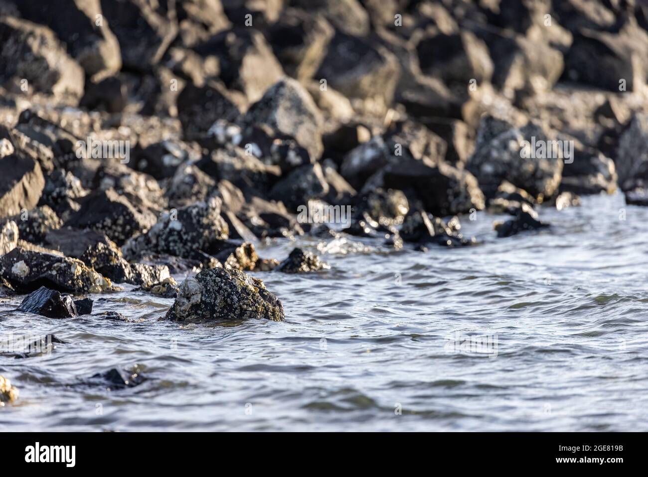 large stacked rocks with barnicles on a beach with small waves Stock ...