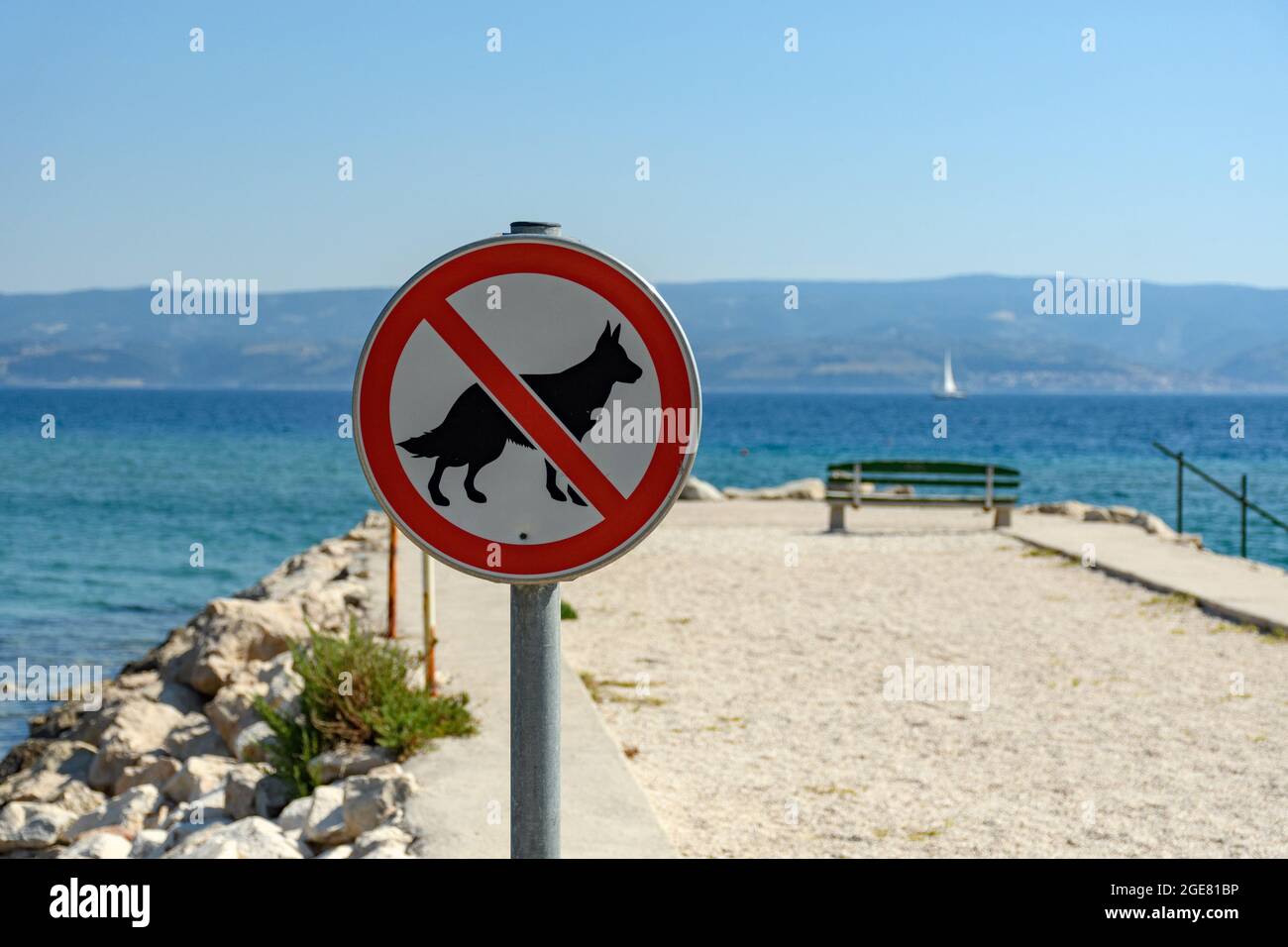 No dogs allowed sign on beach Stock Photo - Alamy
