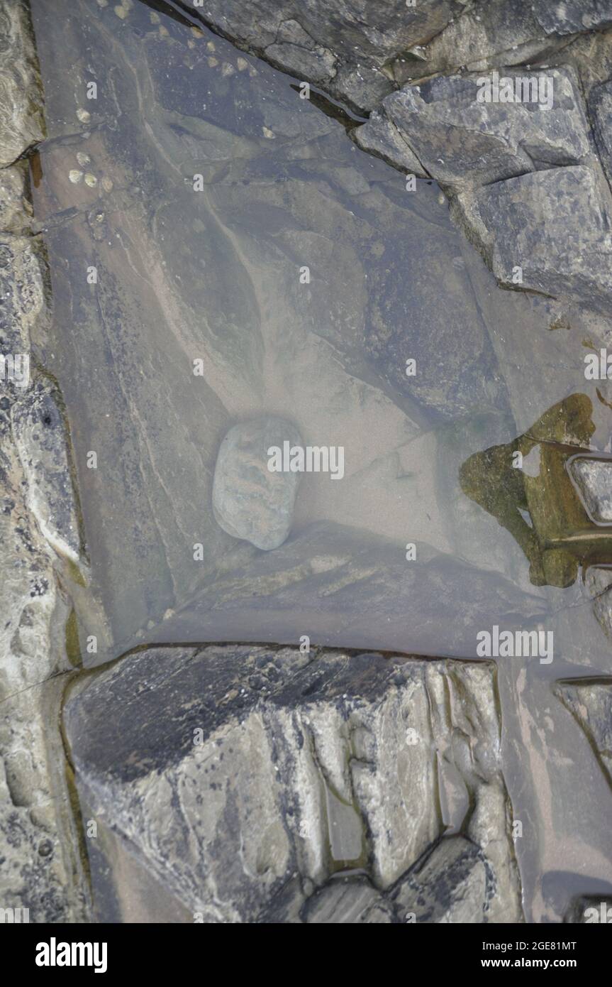 Rock Pool, Devon Beach Stock Photo - Alamy