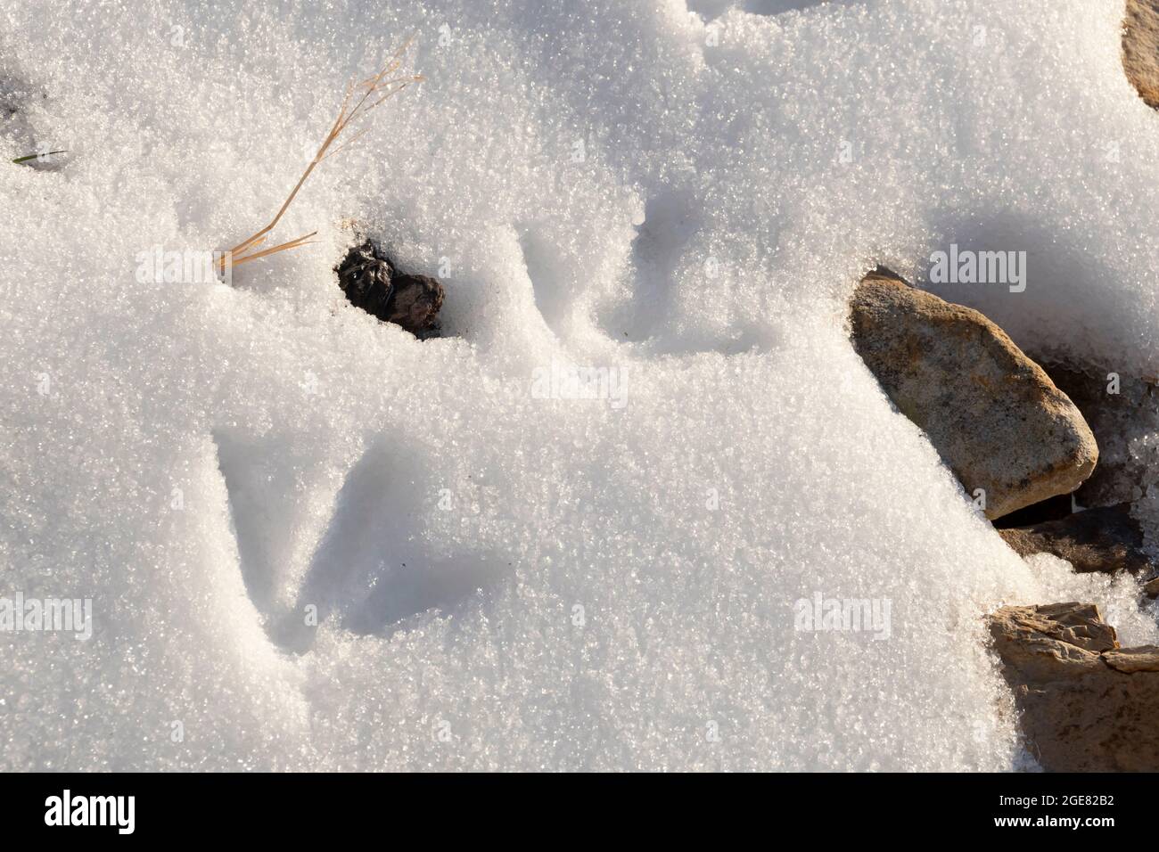 West coast track hi-res stock photography and images - Alamy