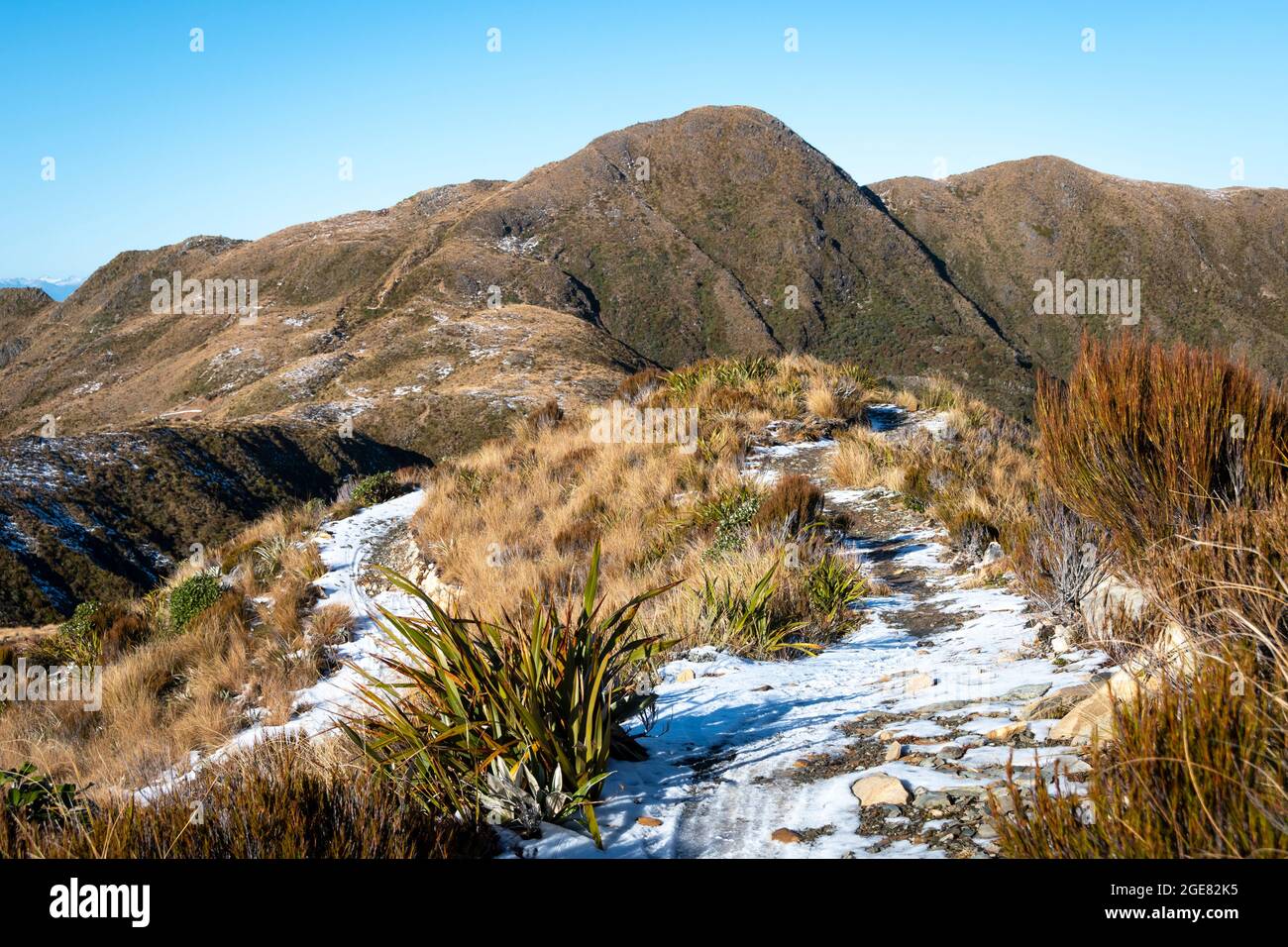 Paparoa Track, (one of NZ's great walks), Paparoa National Park, West ...