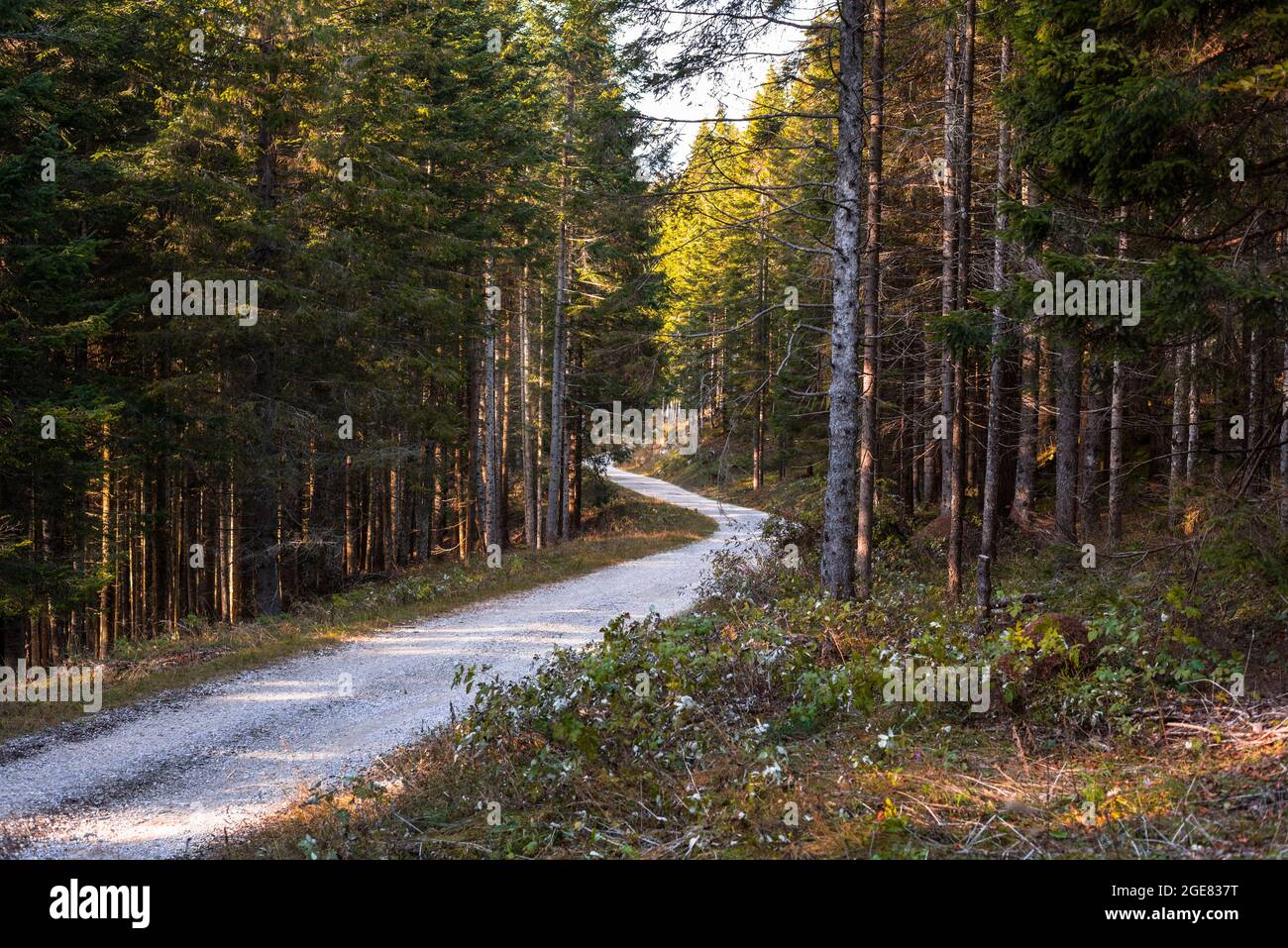 Gravel path hi-res stock photography and images - Alamy