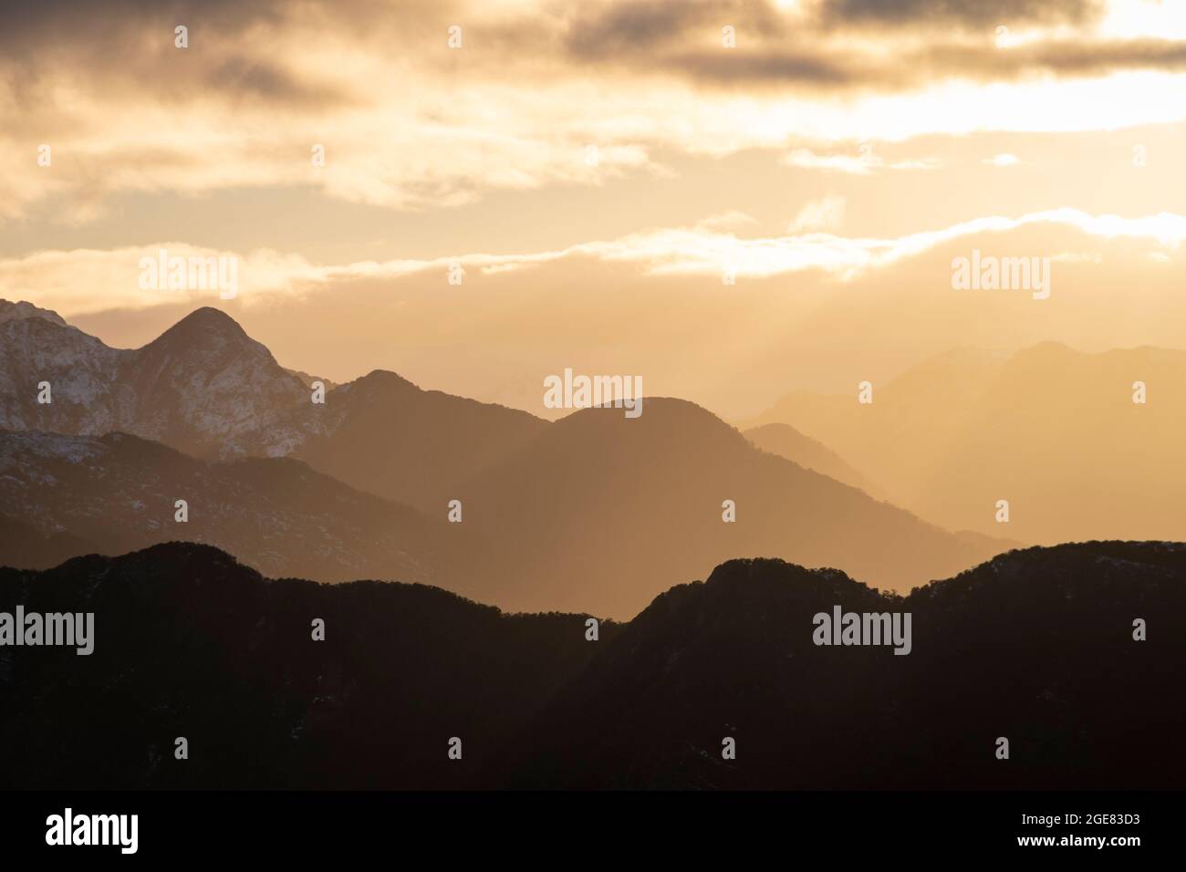 Misty hills at dawn, near Moonlight Tops hut, Paparoa Track, (one of NZ ...