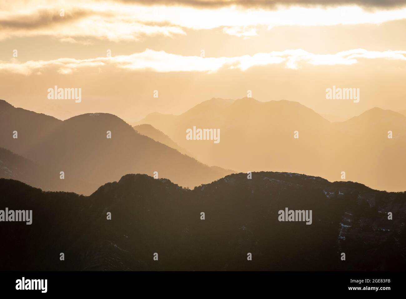 Misty hills at dawn, near Moonlight Tops hut, Paparoa Track, (one of NZ ...