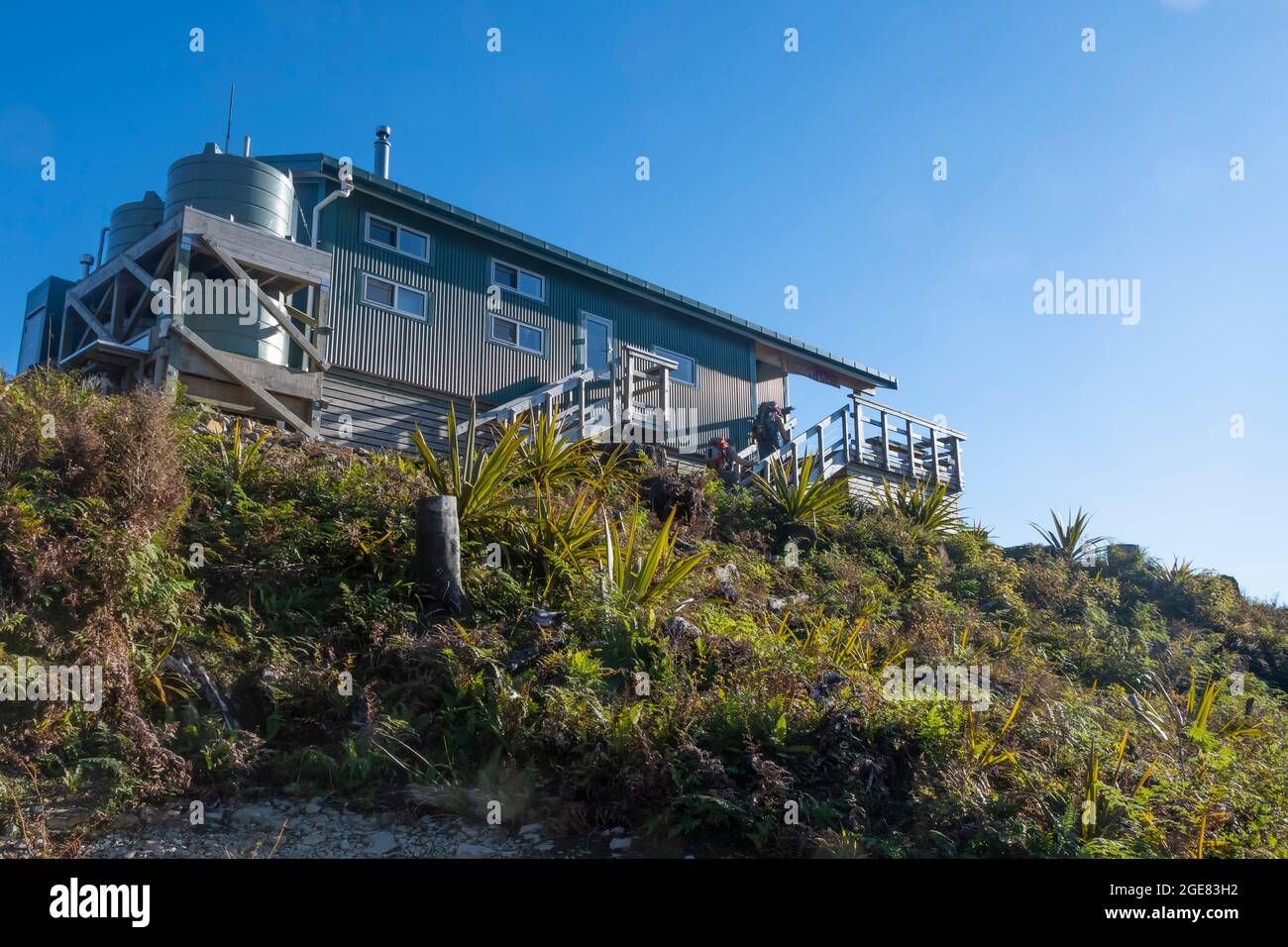 Pororari Hut, Paparoa Track, (one of NZ's great walks) Paparoa National ...