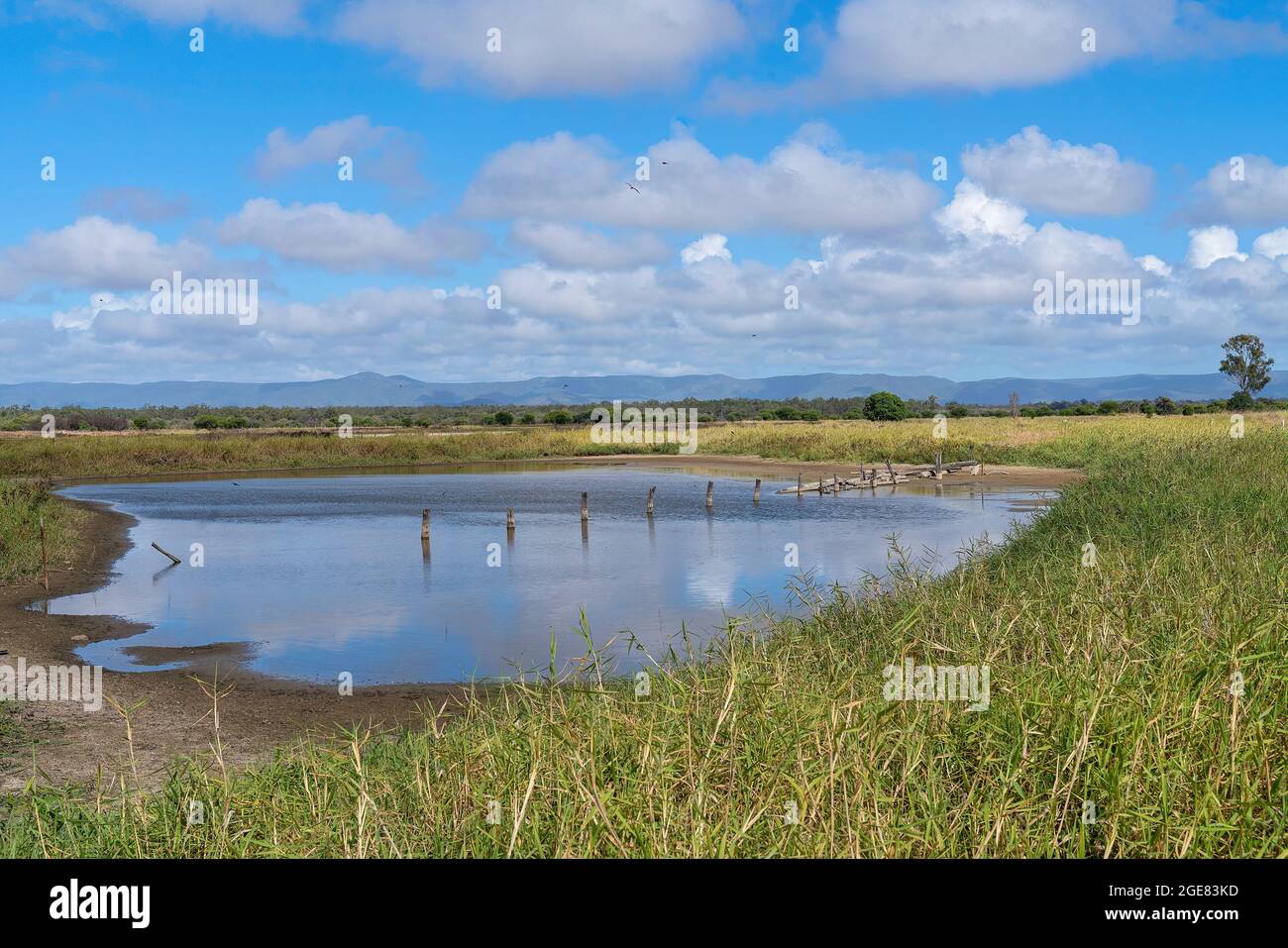 Small pond part of wetlands recreational area preserving wildlife in a ...