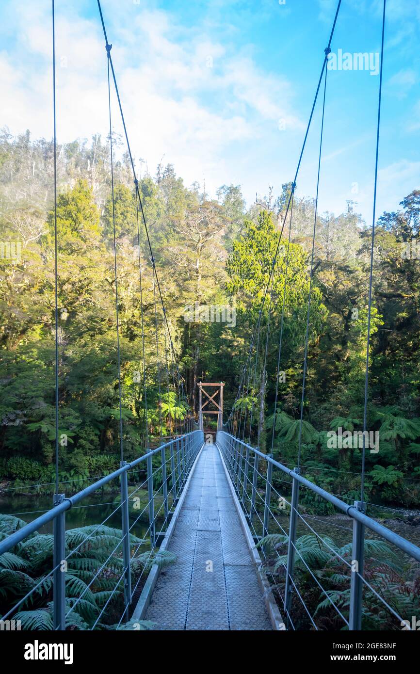 Suspension bridge over Pororari River, Paparoa Track, (one of NZ's ...