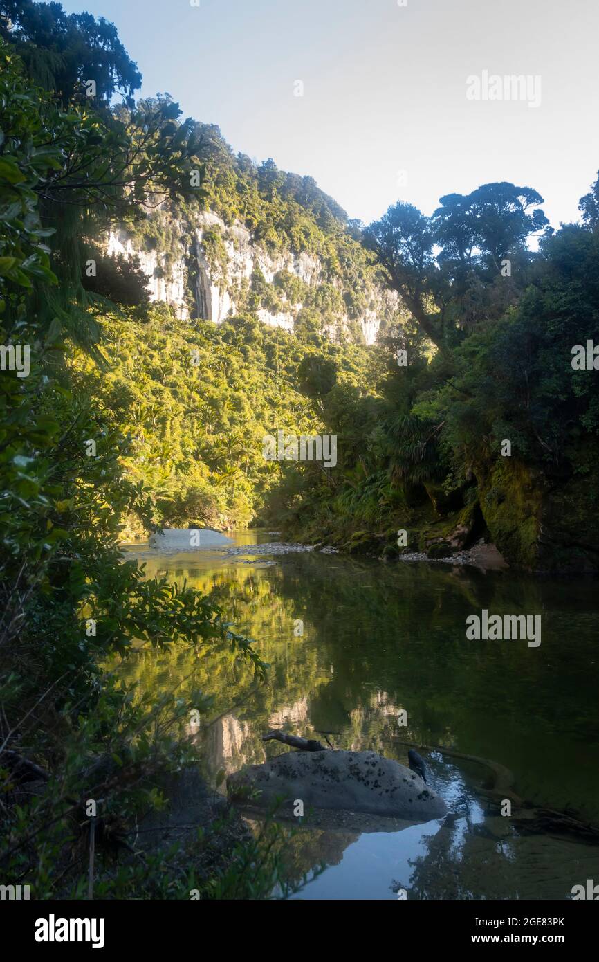 Pororari river hi-res stock photography and images - Alamy