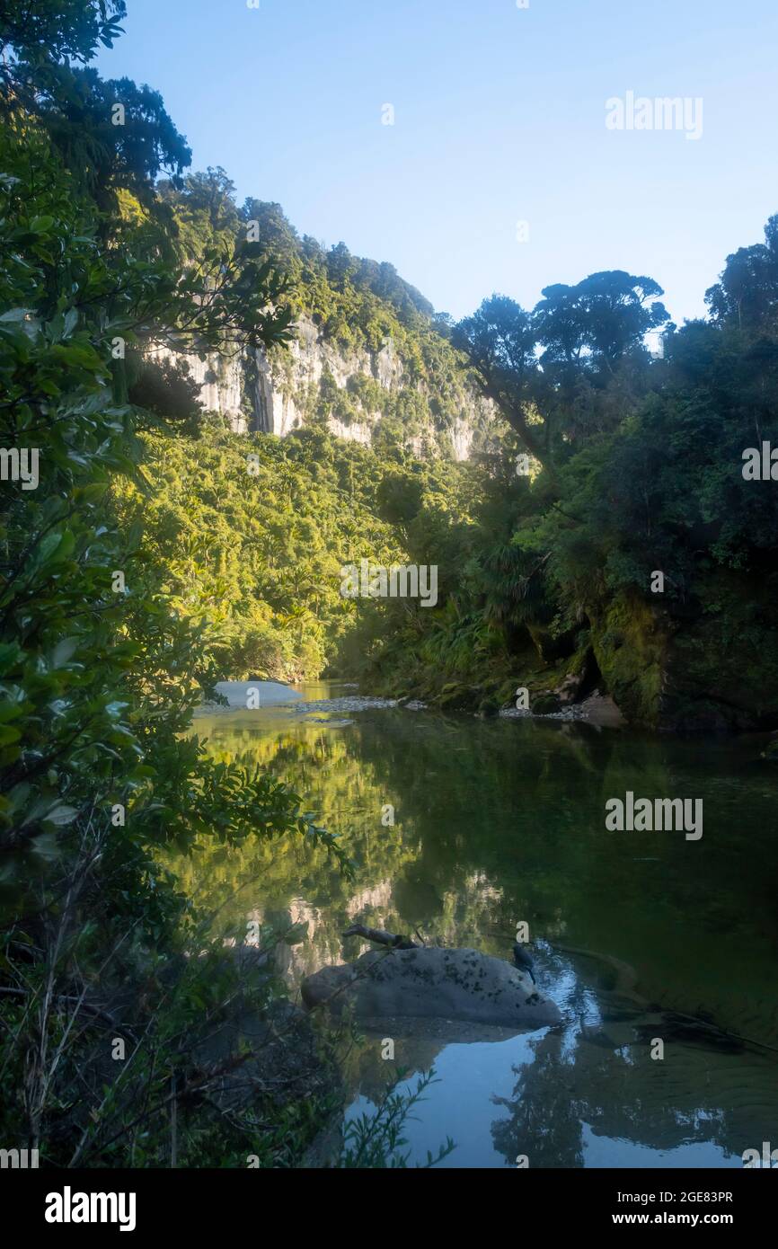 Limestone cliffs beside Pororari River on Paparoa Track, (one of NZ's ...