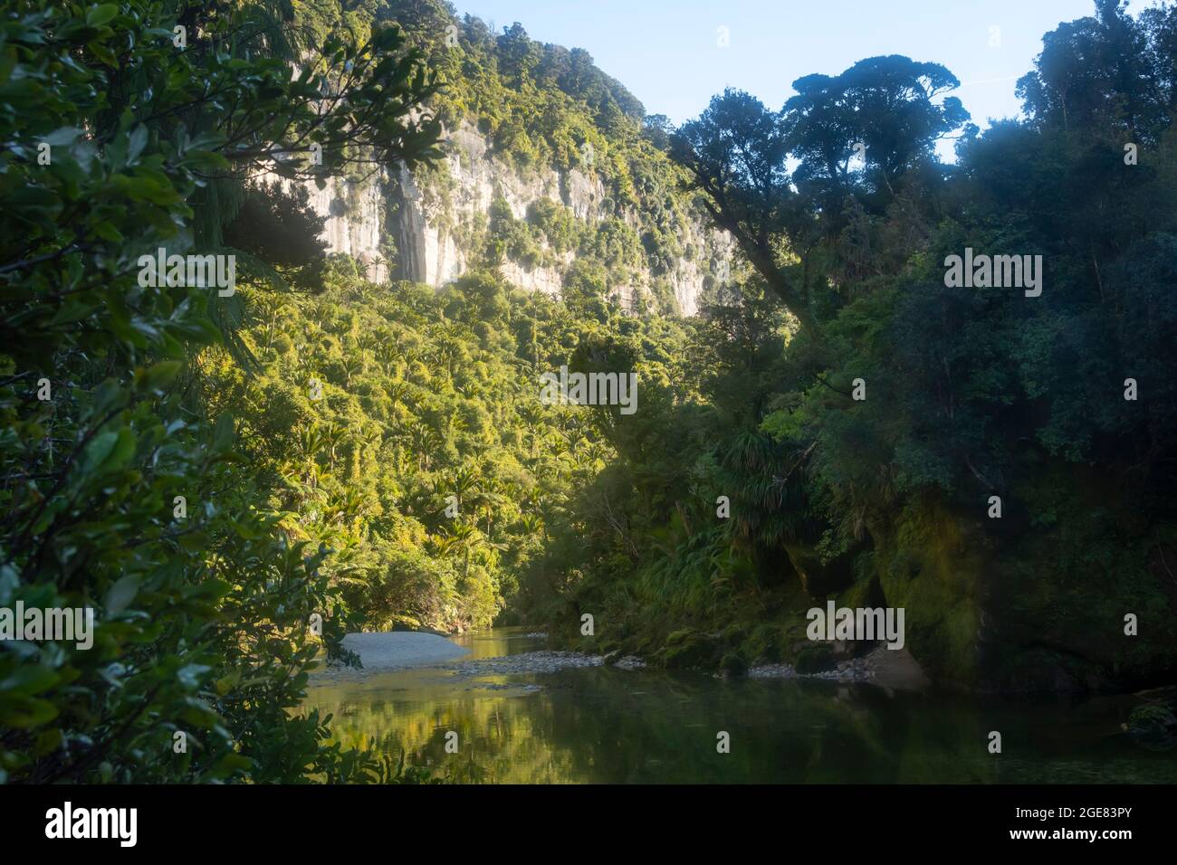 Limestone cliffs beside Pororari River on Paparoa Track, (one of NZ's ...
