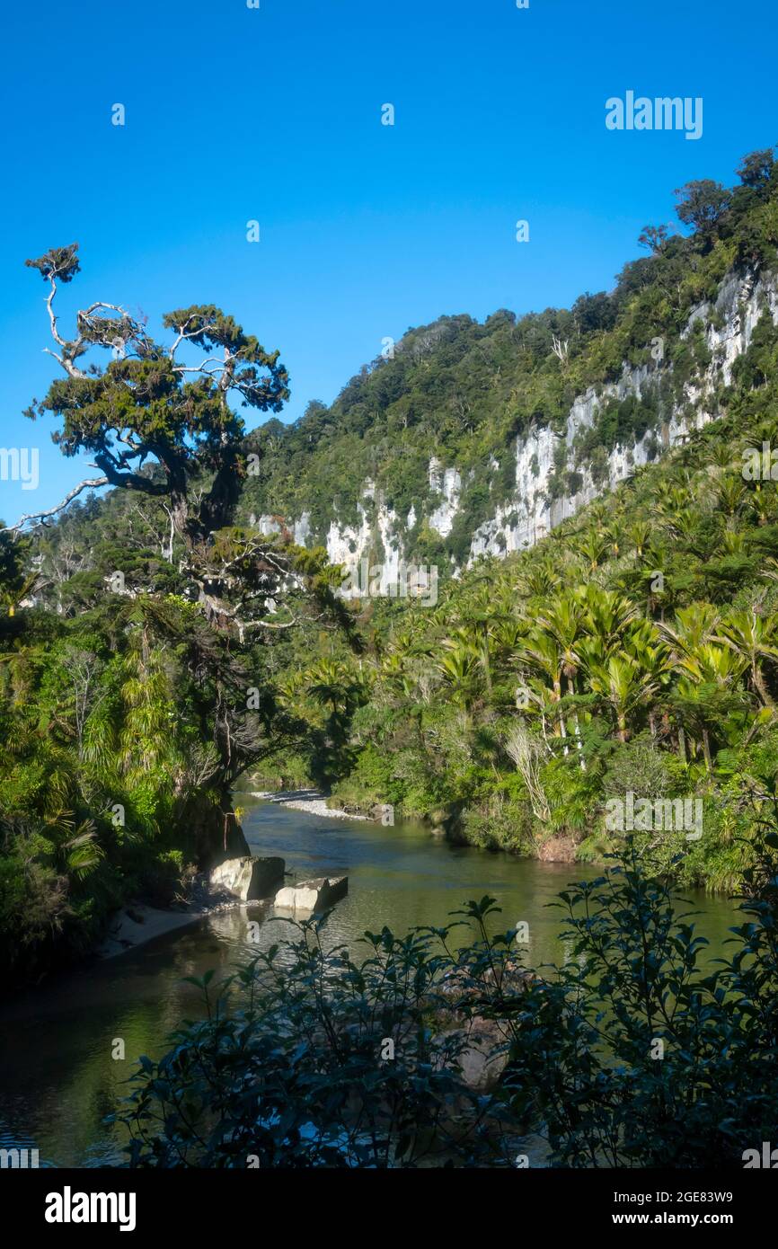 Pororari river hi-res stock photography and images - Alamy