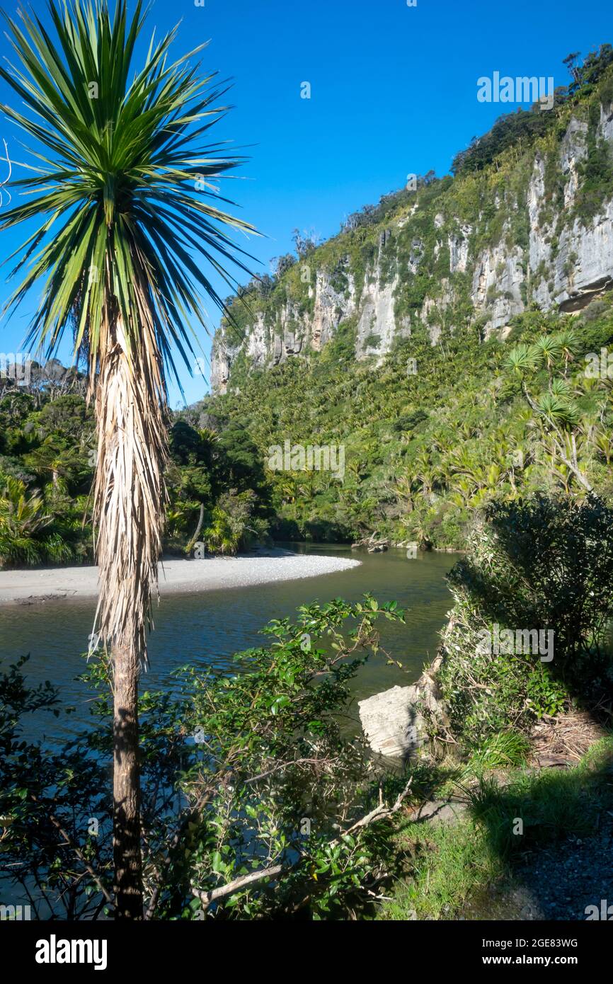 Limestone cliffs beside Pororari River on Paparoa Track, (one of NZ's ...