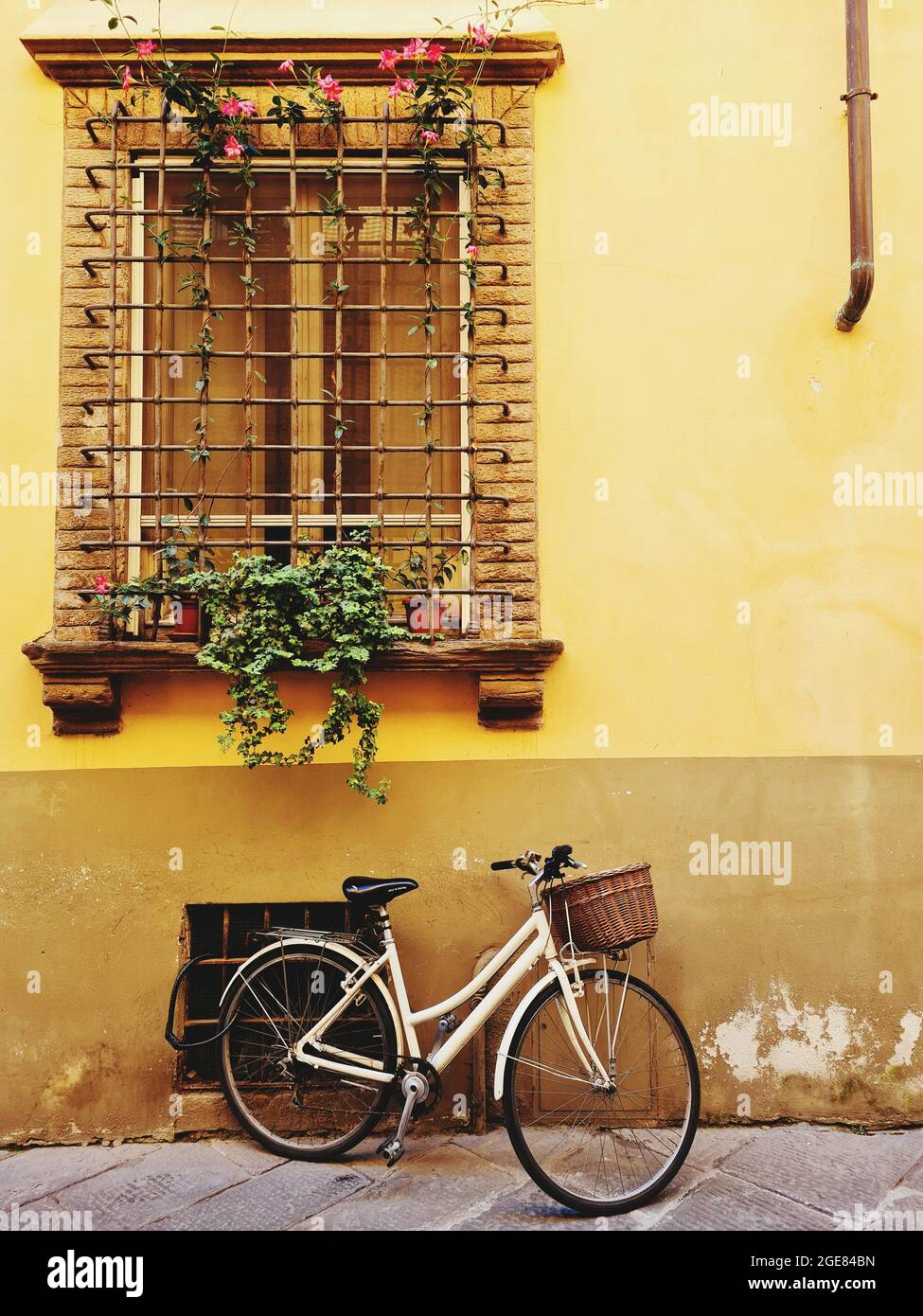 Bicycle with basket leaning under a window with flowers Stock Photo - Alamy