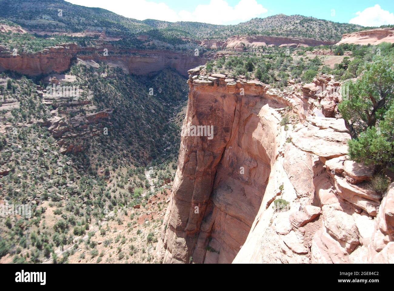 Landscape with rock formations at Colorado National Monument Stock ...