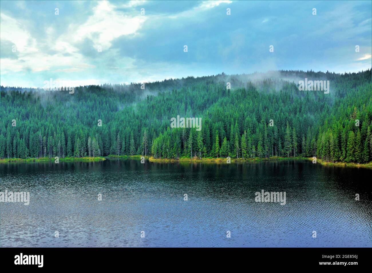Scenic view of lake Oasa near the forest in Romania Stock Photo - Alamy