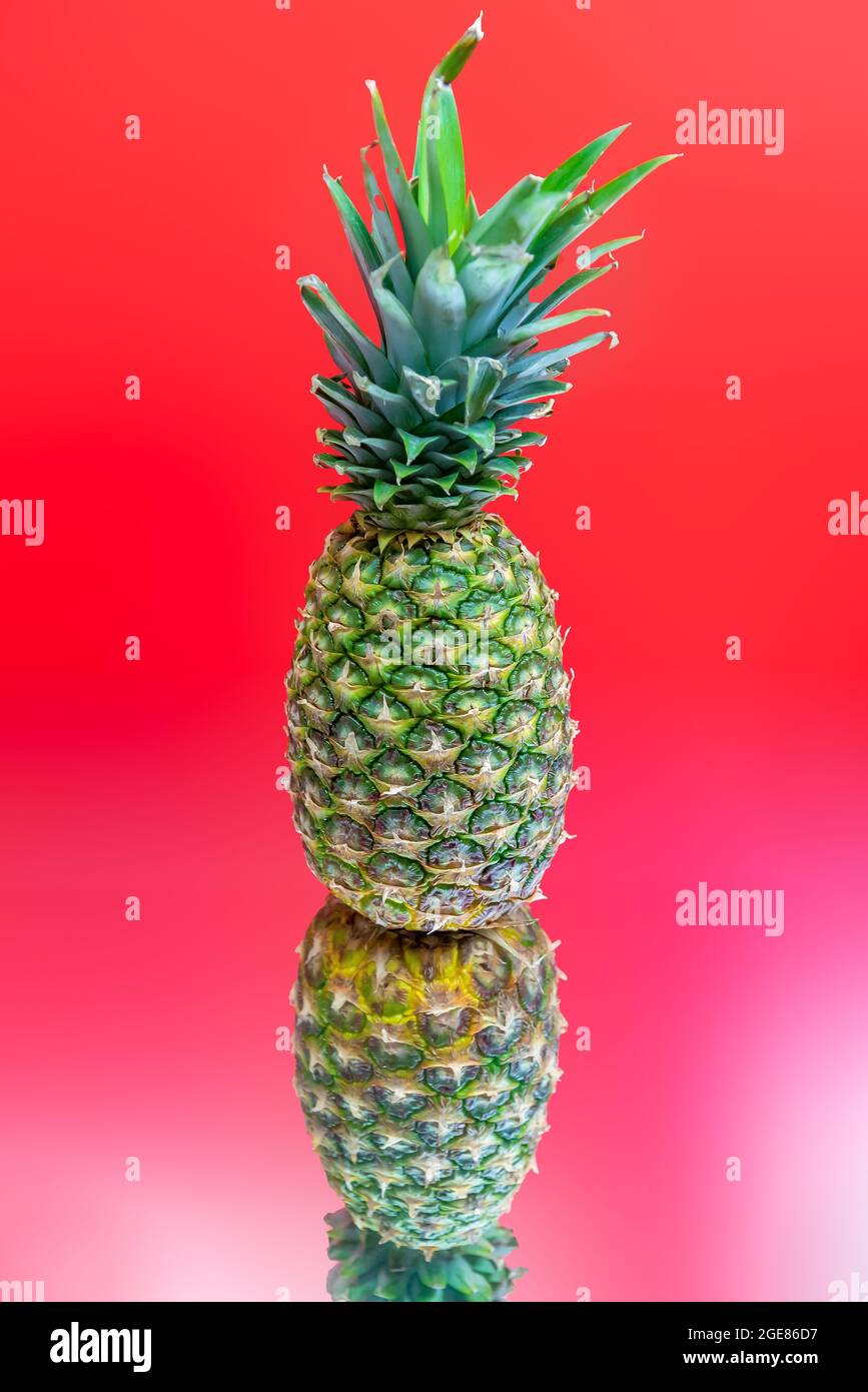 beautiful pineapple with a nice reflection red background behind Stock ...