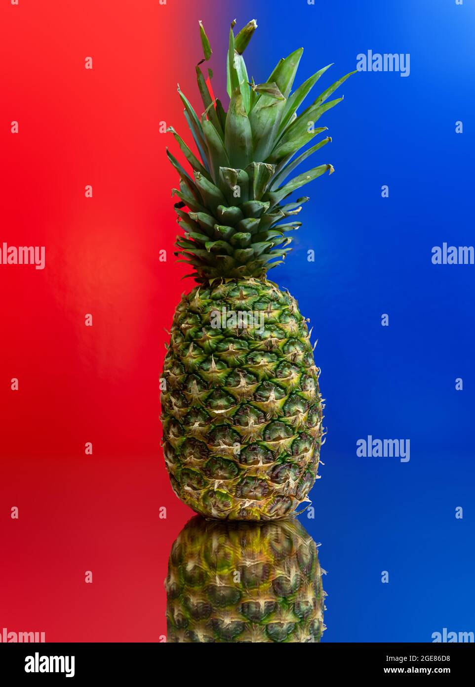 beautiful pineapple with a nice reflection of the red and blue ...