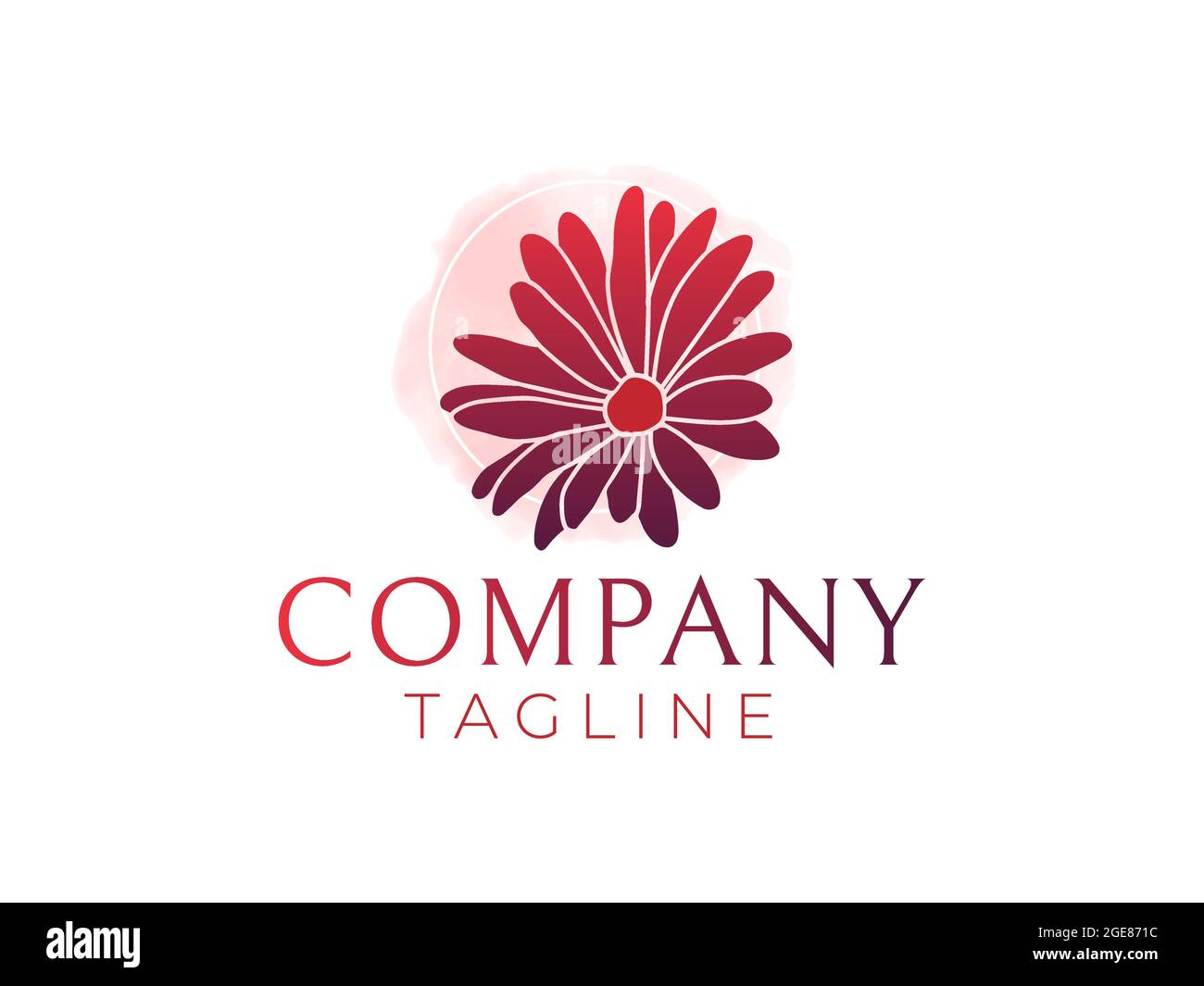 Margaret flower Stock Vector Images - Alamy