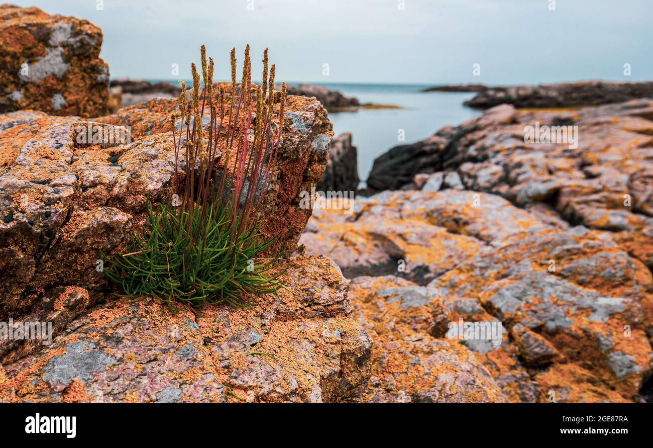 Colorful rock formation around picturesque small town Gudhjem in ...