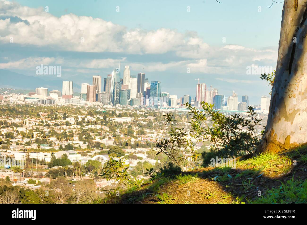 veiw of a city skyline from high up on an overlook on a bright and ...