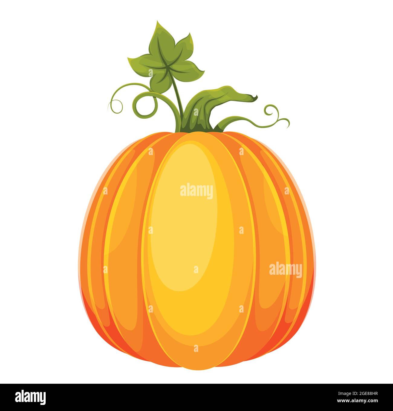 Cartoon pumpkin. Big fresh pumpkin. Usable for Thanksgiving day ...