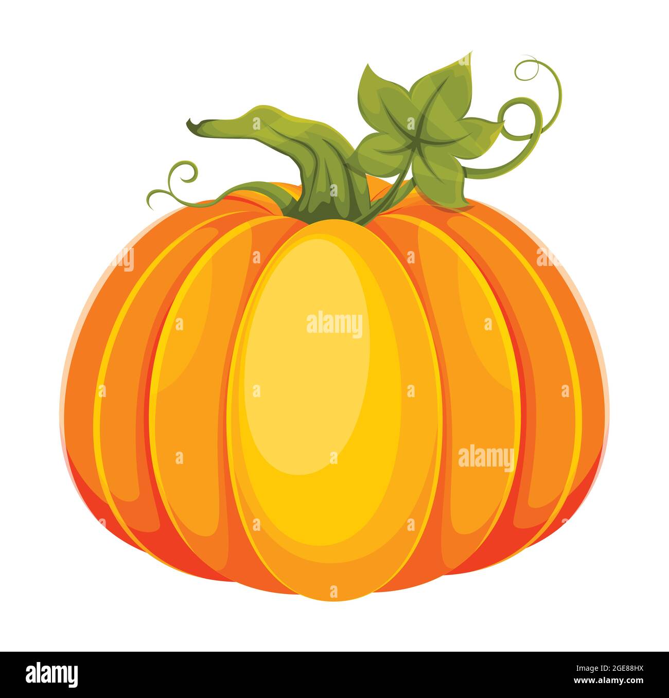 Cartoon pumpkin. Big fresh pumpkin. Usable for Thanksgiving day ...