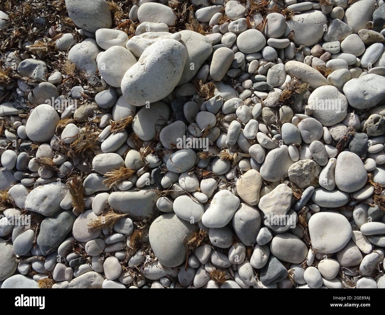 Different sized stones on beach hi-res stock photography and images - Alamy