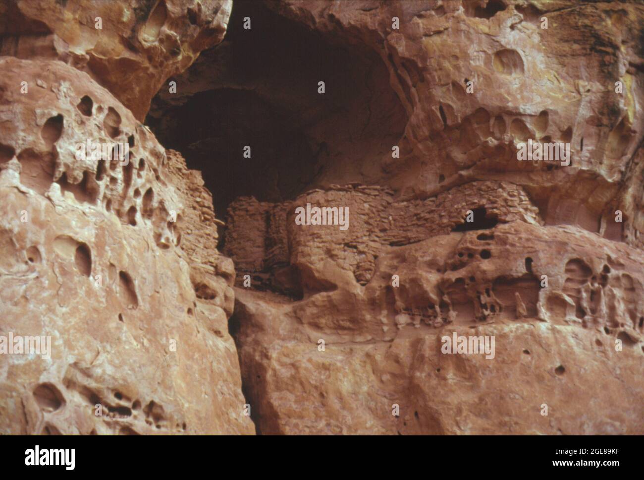 Salt Creek Canyon, Utah Stock Photo - Alamy