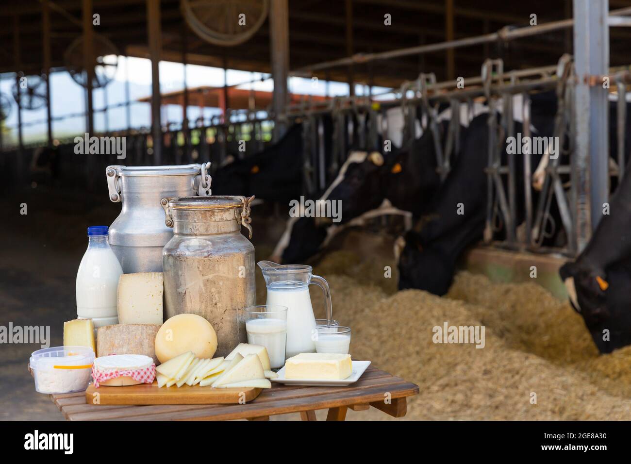 Image of dairy products on the farm Stock Photo - Alamy