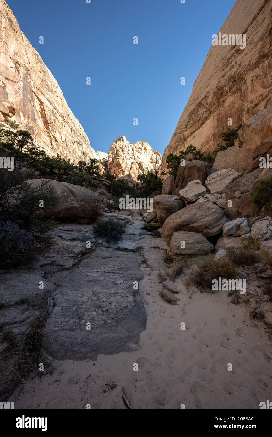 Narrow sandy hiking trail hi-res stock photography and images - Alamy
