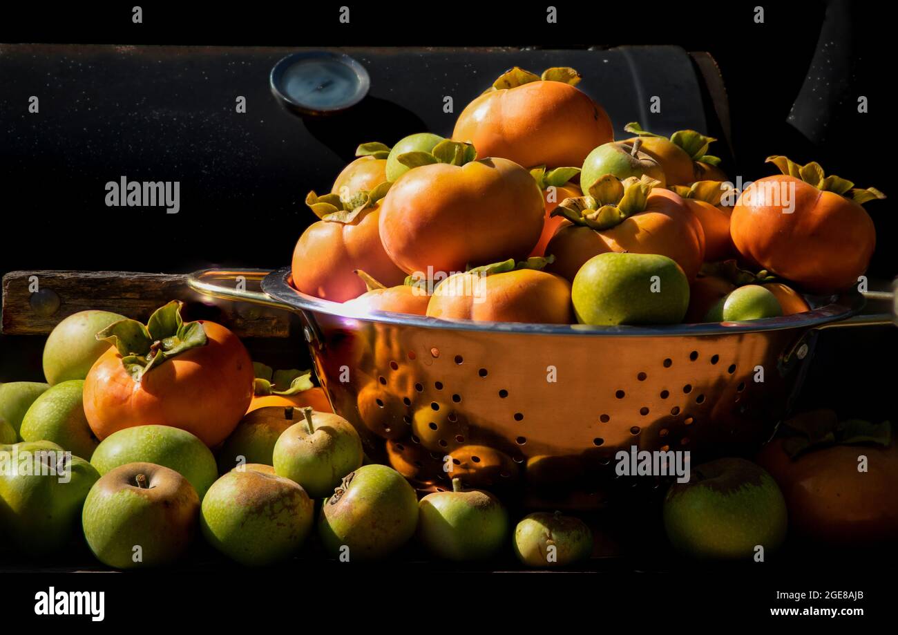Overflowing pile of persimmons and green apples in a kitchen Stock ...