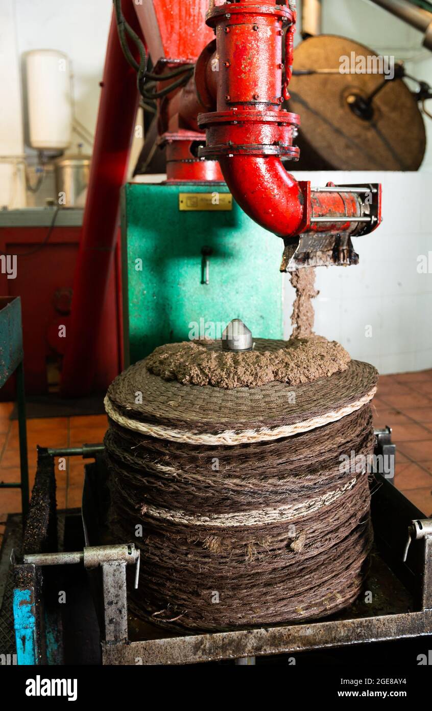 Forming stack of fiber mats with olive paste Stock Photo - Alamy