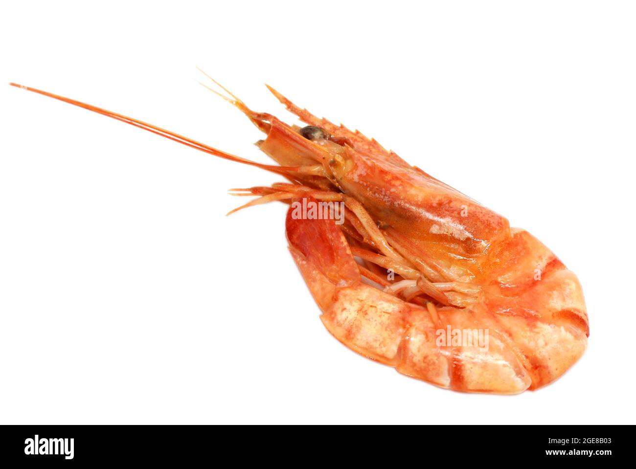 Fresh cooked shrimp isolated on white background Stock Photo - Alamy