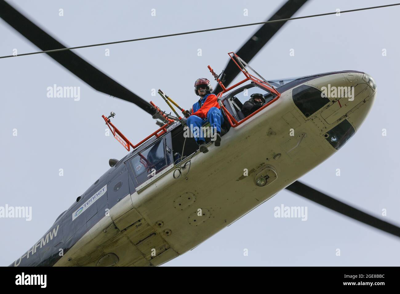 Bird Protection Markers High Resolution Stock Photography and Images ...