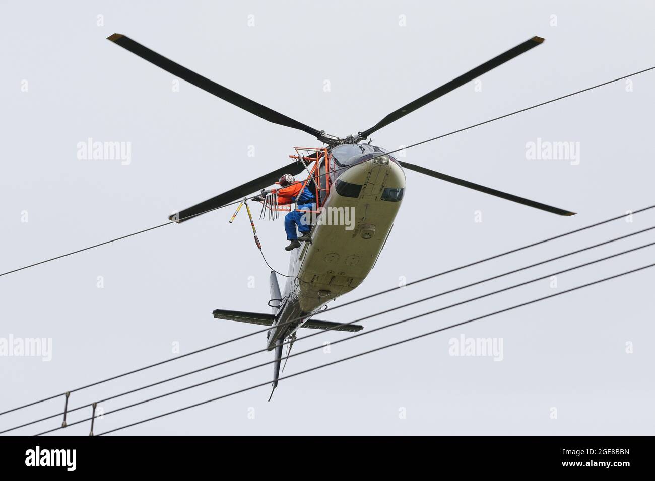 Bird power line marker hi-res stock photography and images - Alamy